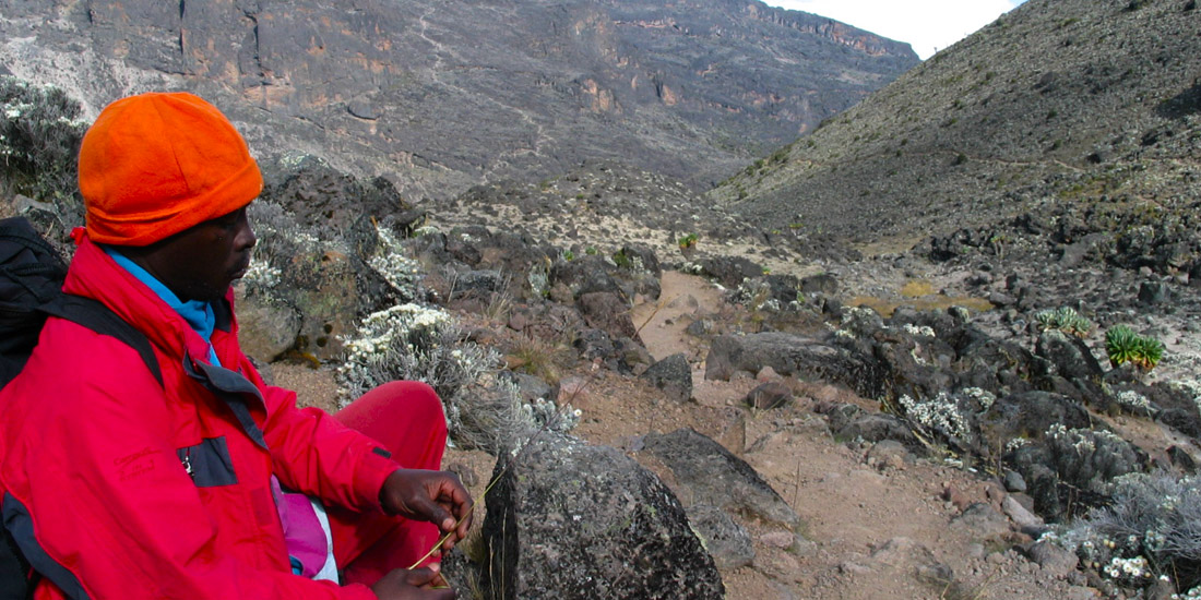Mt. Kilimanjaro Rongai Treks | PURE AFRO TRAVELS